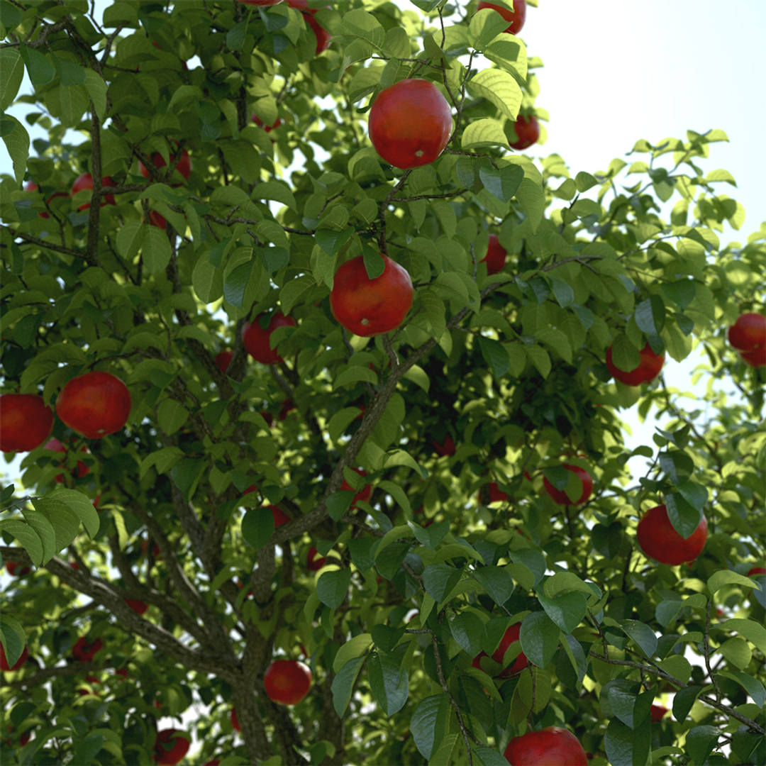 3d archmodels vol 163 trees