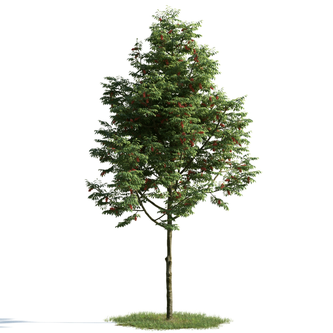 3d archmodels vol 163 trees