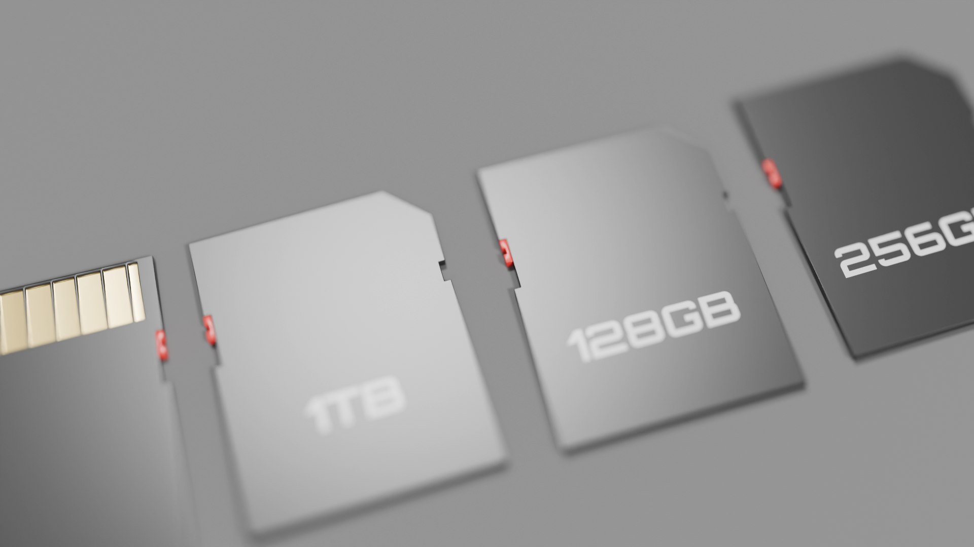 Memory Cards Starter Set 16GB To 4TB 3D Model - TurboSquid 2517626