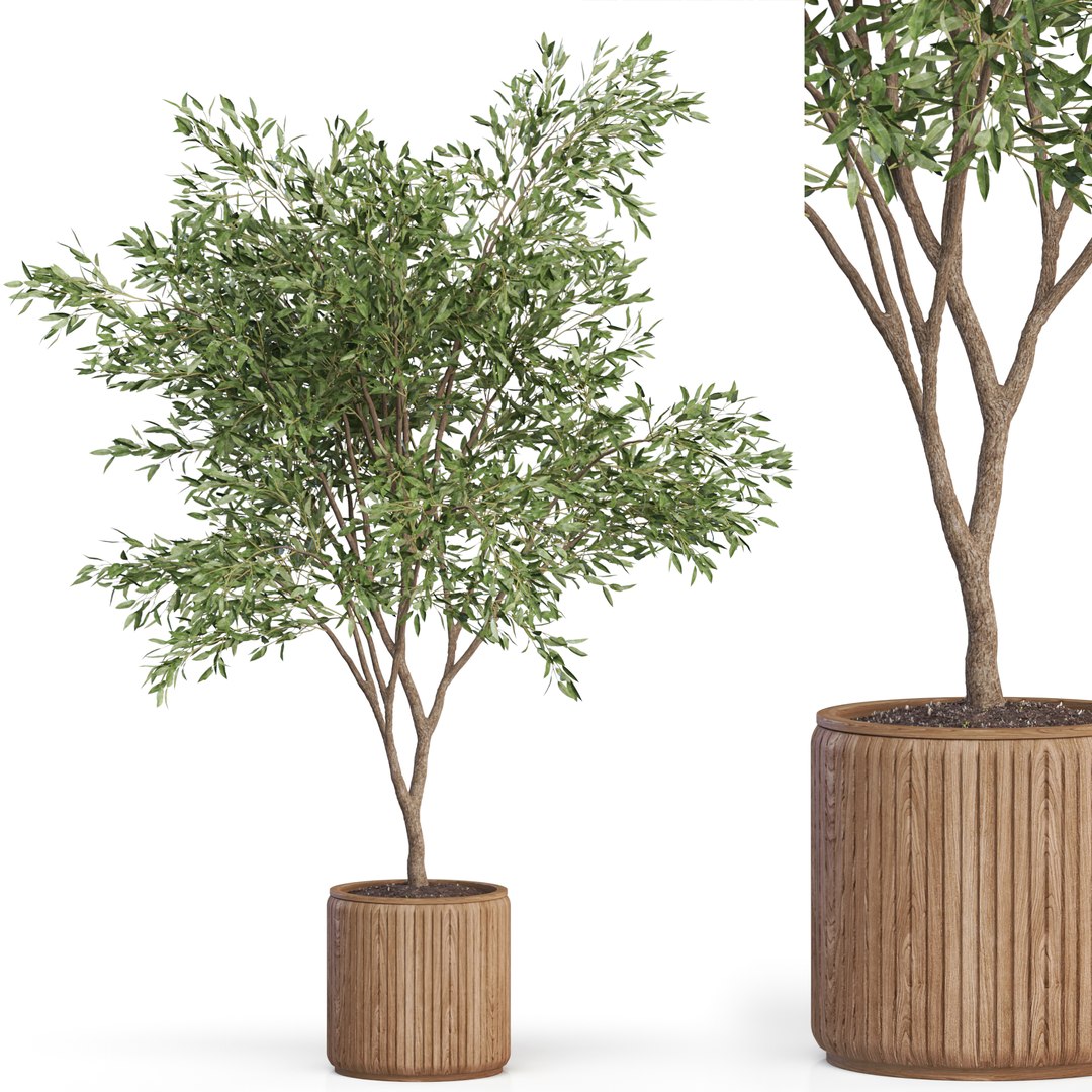 3D Model Plants Collection 625 - TurboSquid 1860547