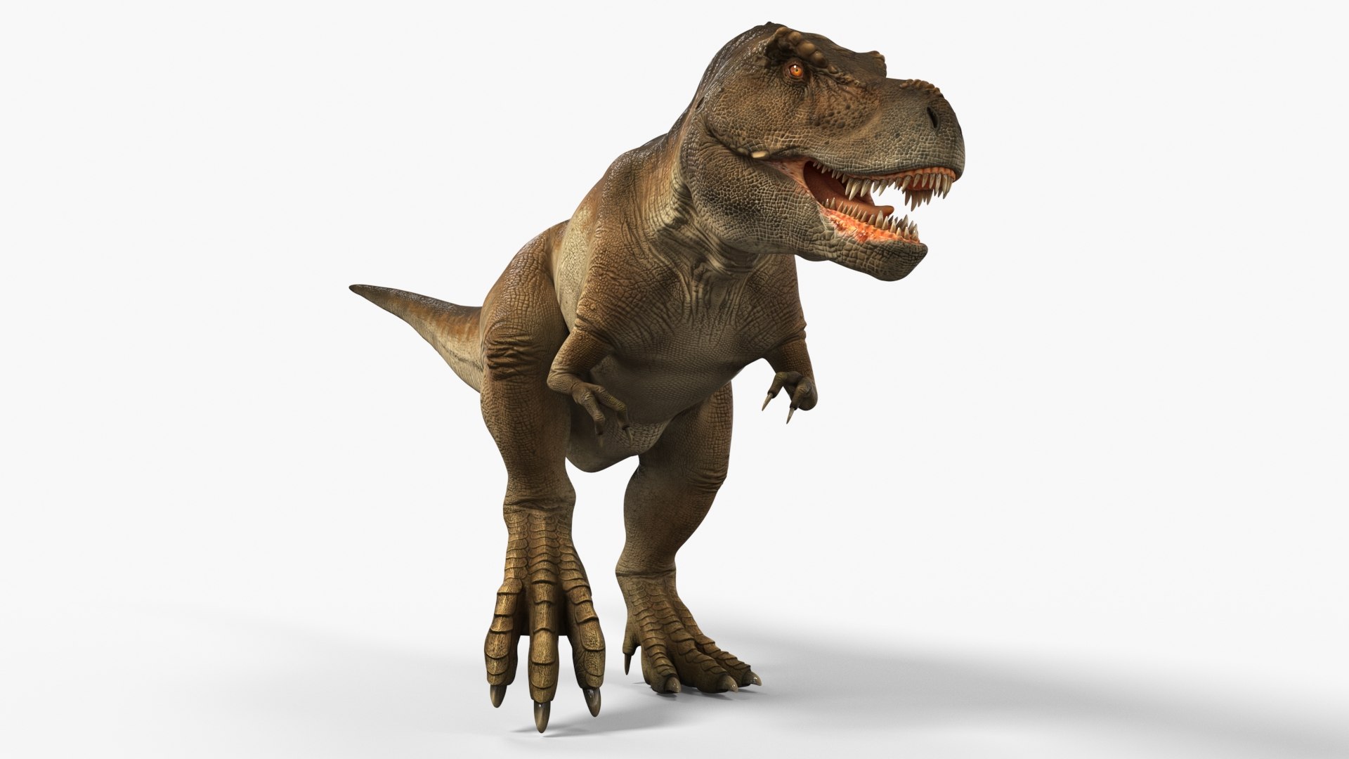 3D Tyrannosaurus Rex Dinosaur Rigged For Cinema 4D - TurboSquid 2428062