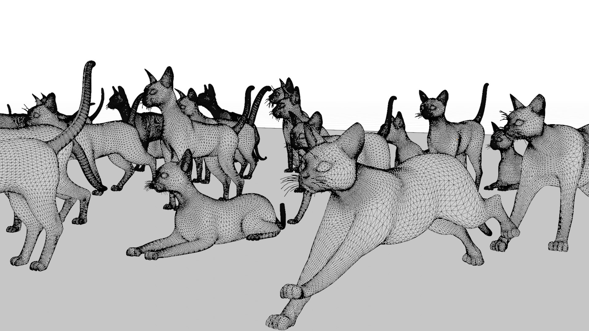 Cats collection 3D model - TurboSquid 2146816