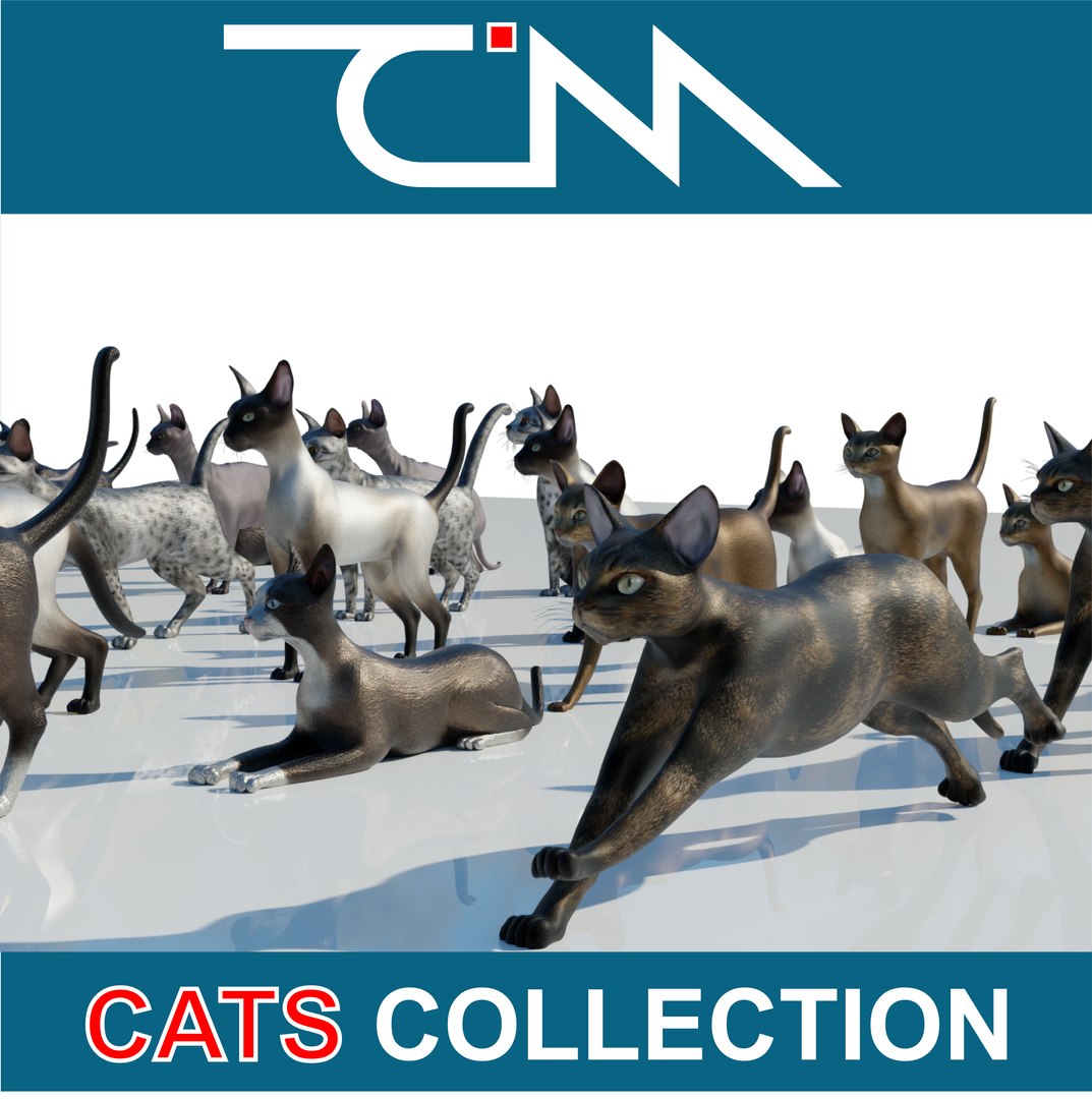 Cats Collection 3D Model - TurboSquid 2146816