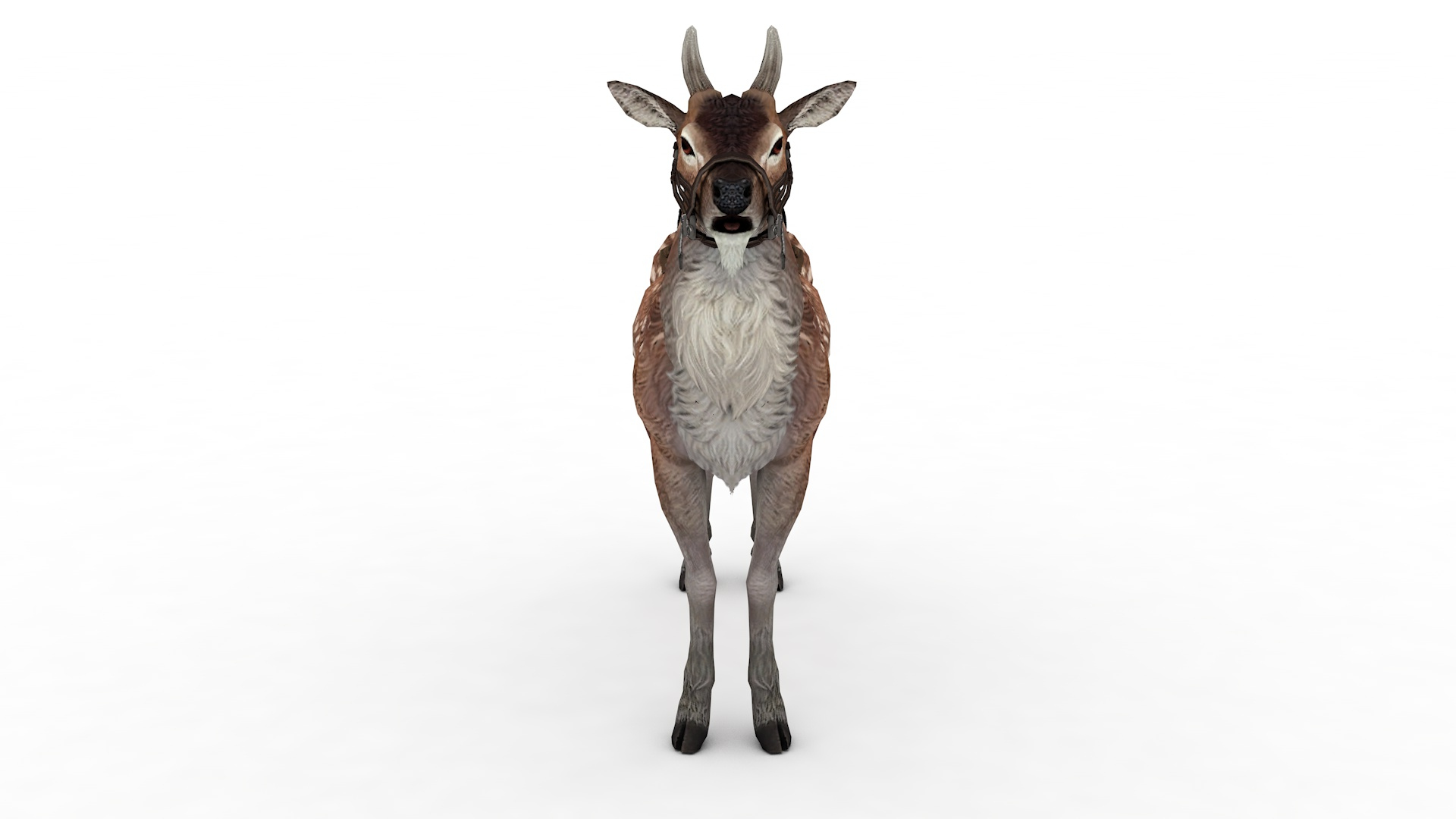 3D Model Giant Deer Collection - TurboSquid 2391734