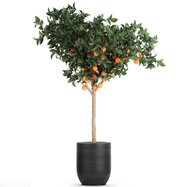 3D decorative tree orange interior - TurboSquid 1628391
