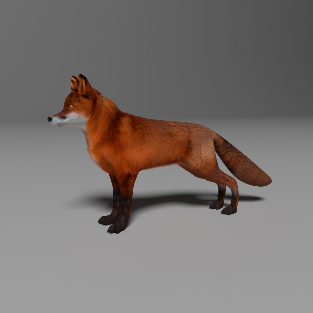 3D Re-top Fox Model - TurboSquid 1348225