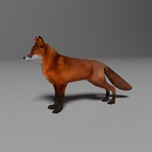 Cartoon Fox 3D Models for Download | TurboSquid