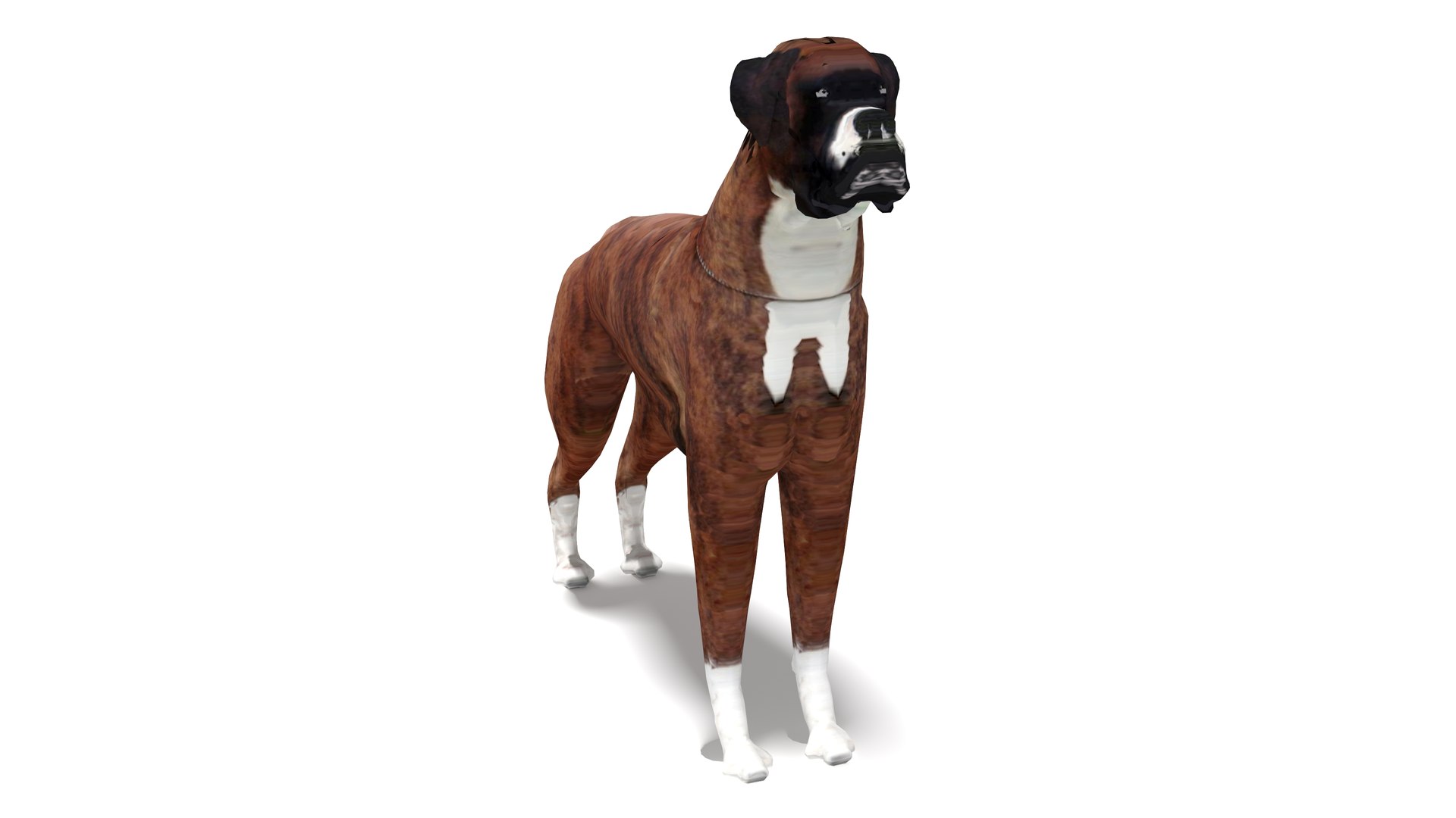 3D model boxer dog - TurboSquid 1643188