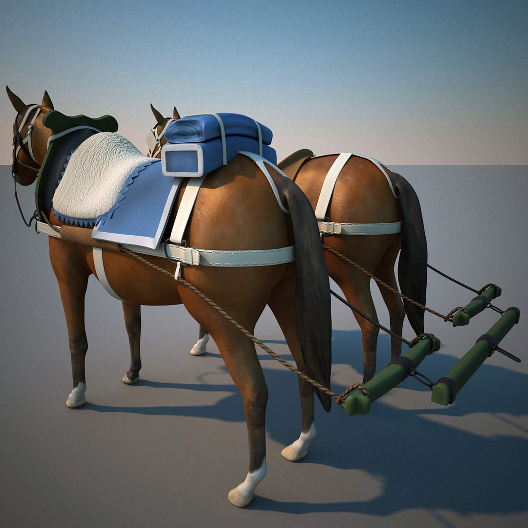 3d Max Harnessed Horse 5