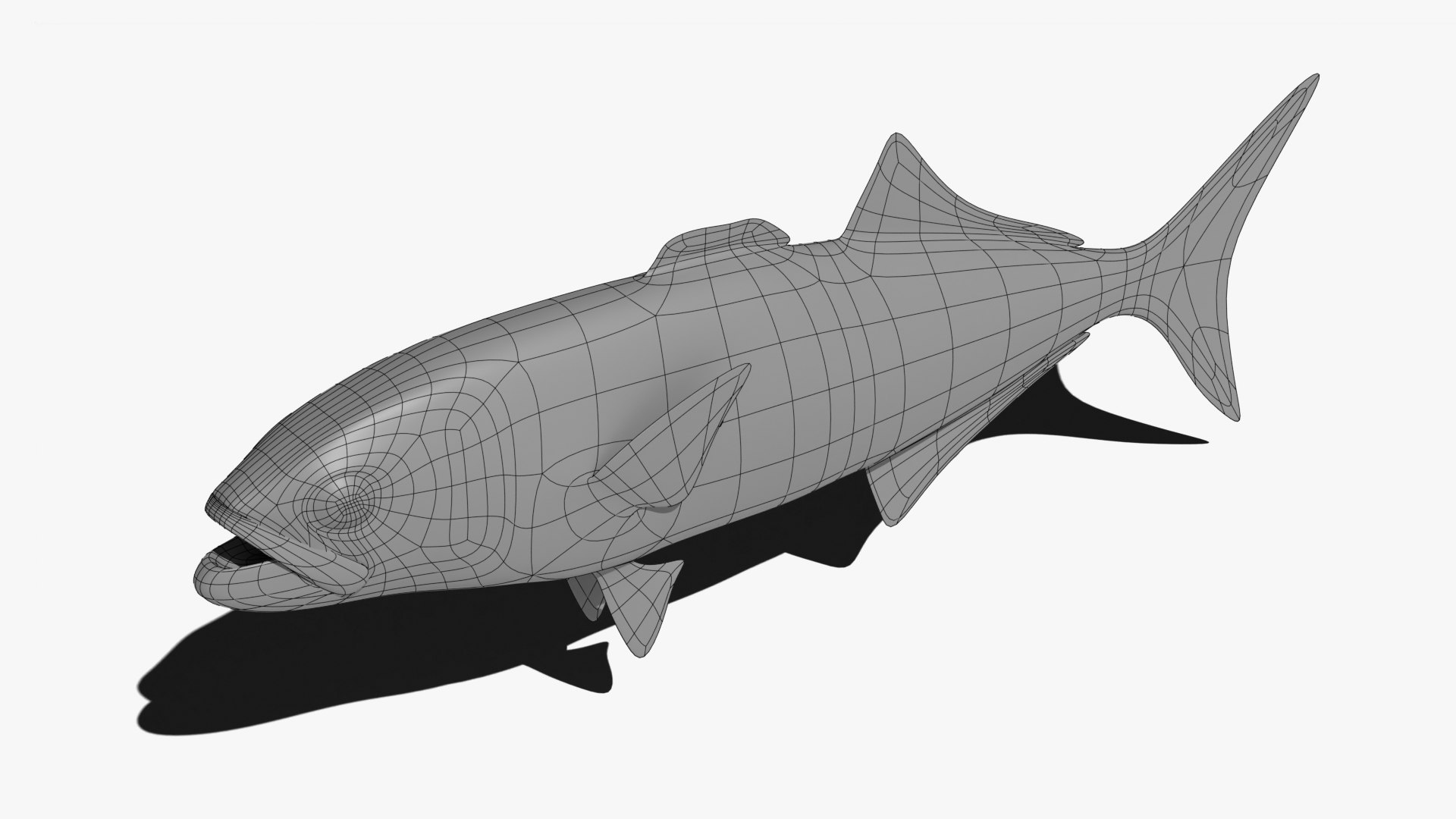 3D Bluefish Model - TurboSquid 1919839