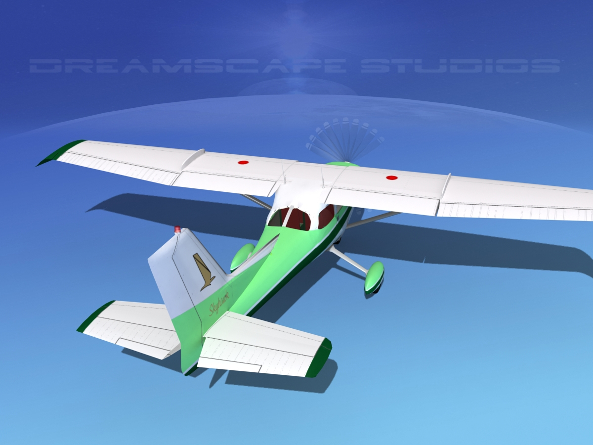 cessna 172 stol skyhawk dxf
