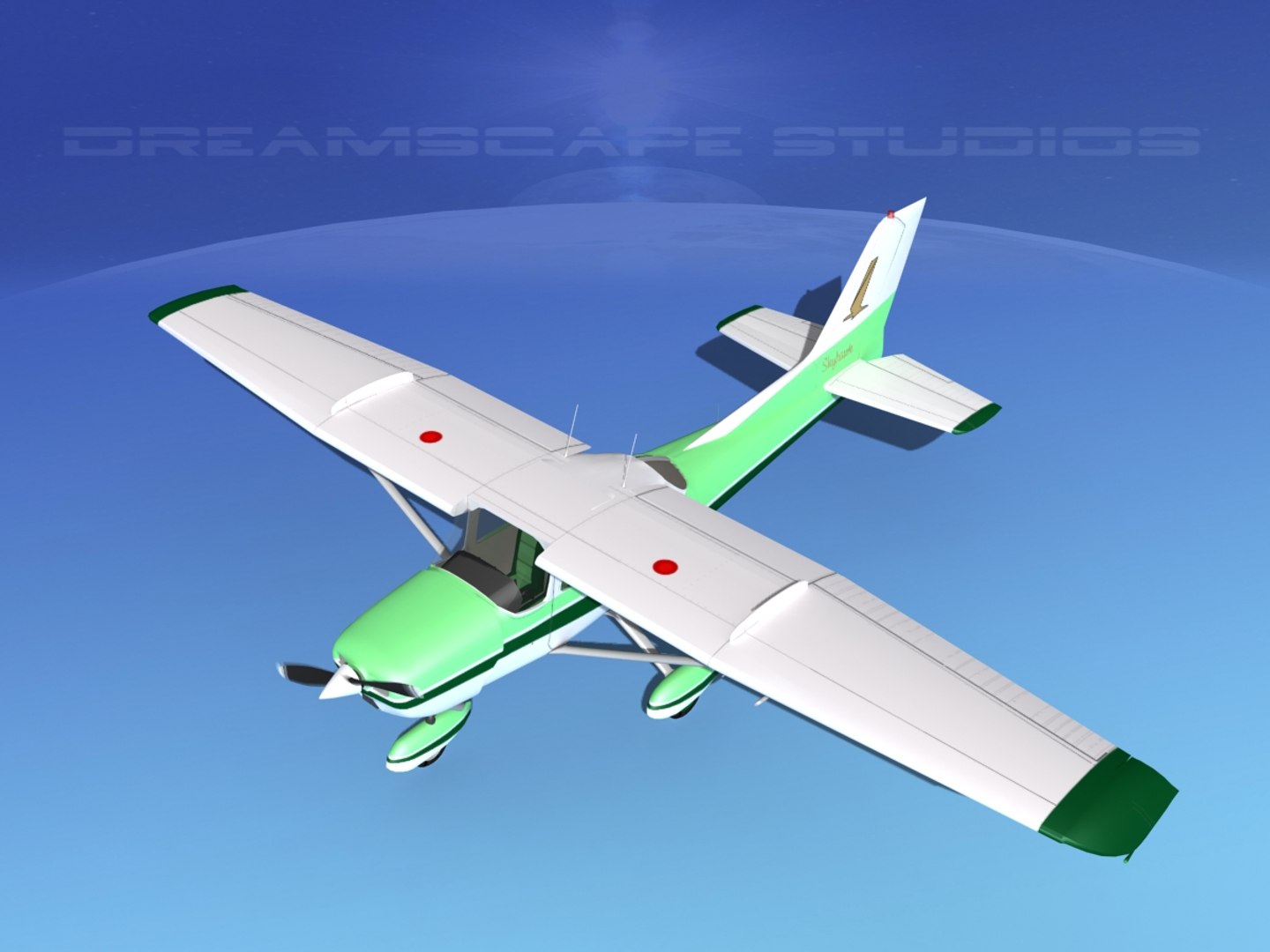 Cessna 172 Stol Skyhawk Dxf