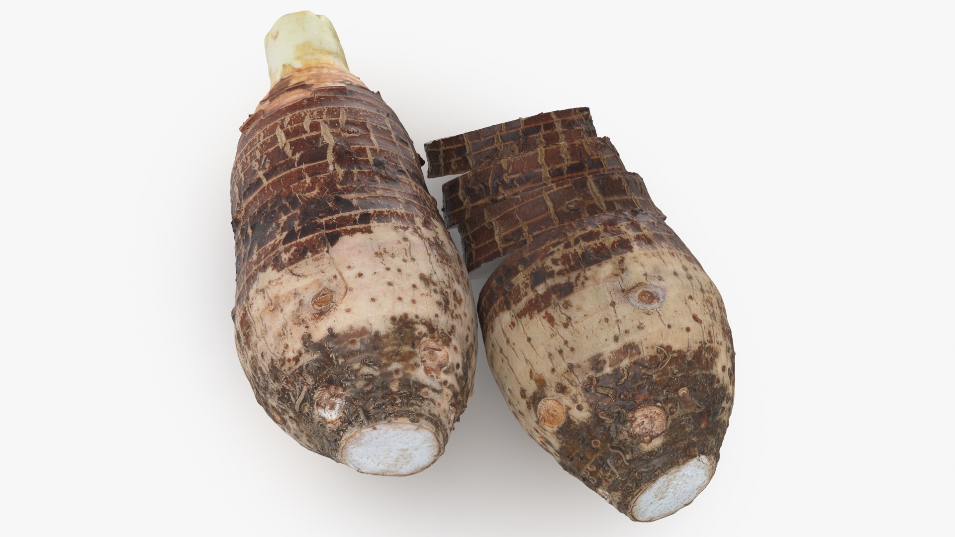 Whole Half Slice Taro Model - TurboSquid 2209752