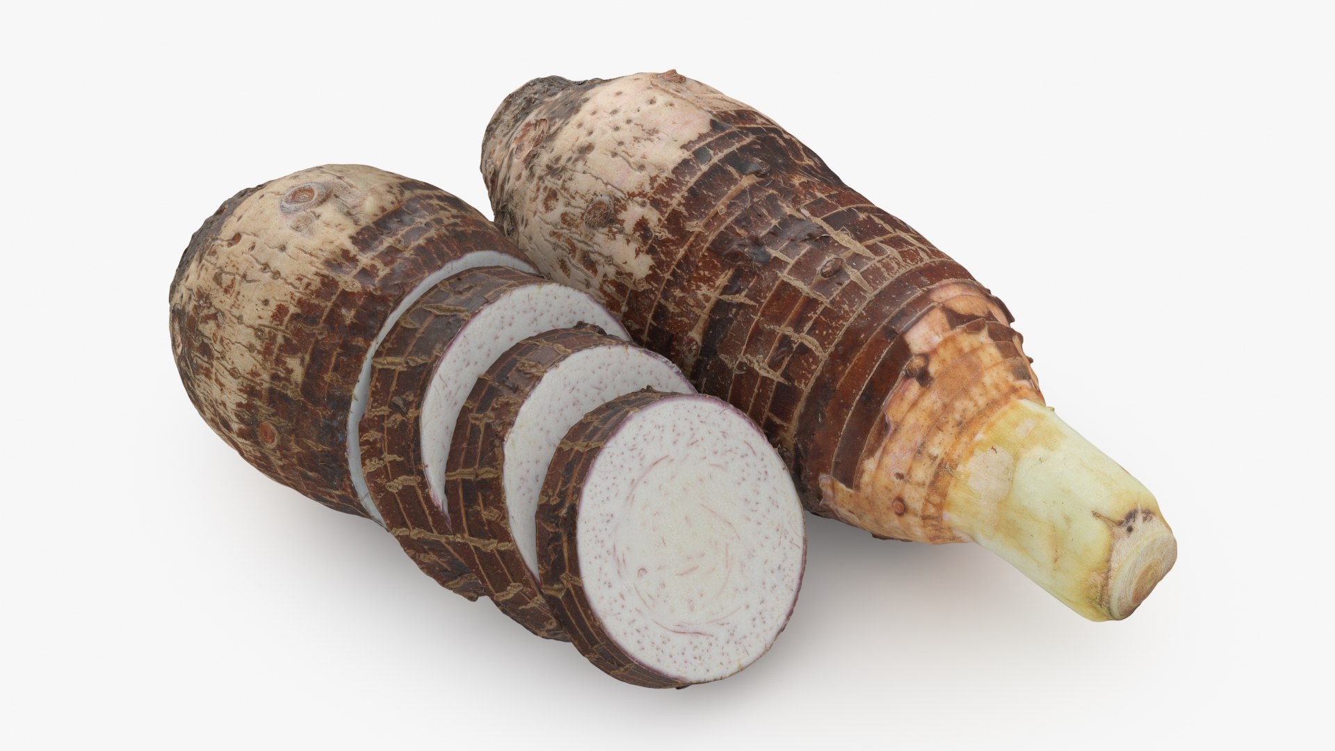 Whole Half Slice Taro Model - TurboSquid 2209752