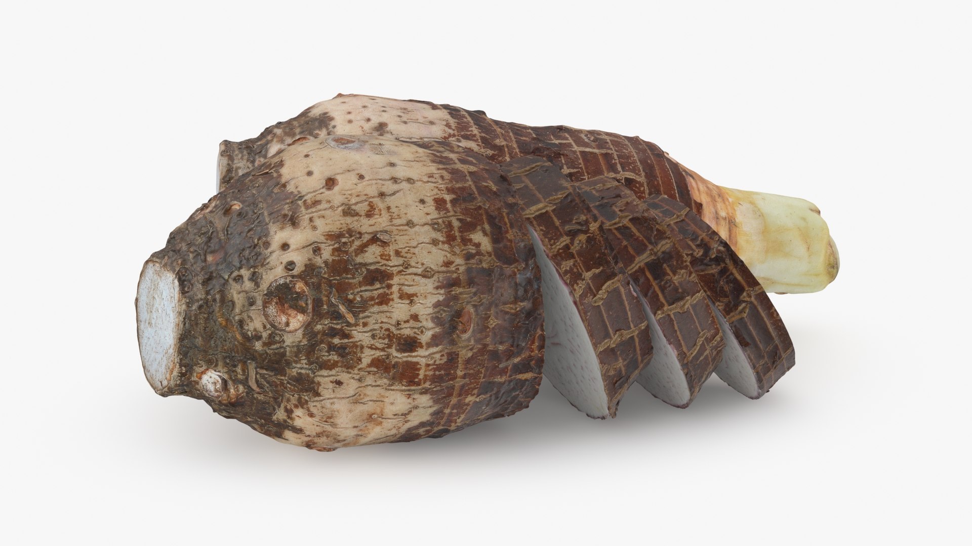 Whole Half Slice Taro Model - TurboSquid 2209752
