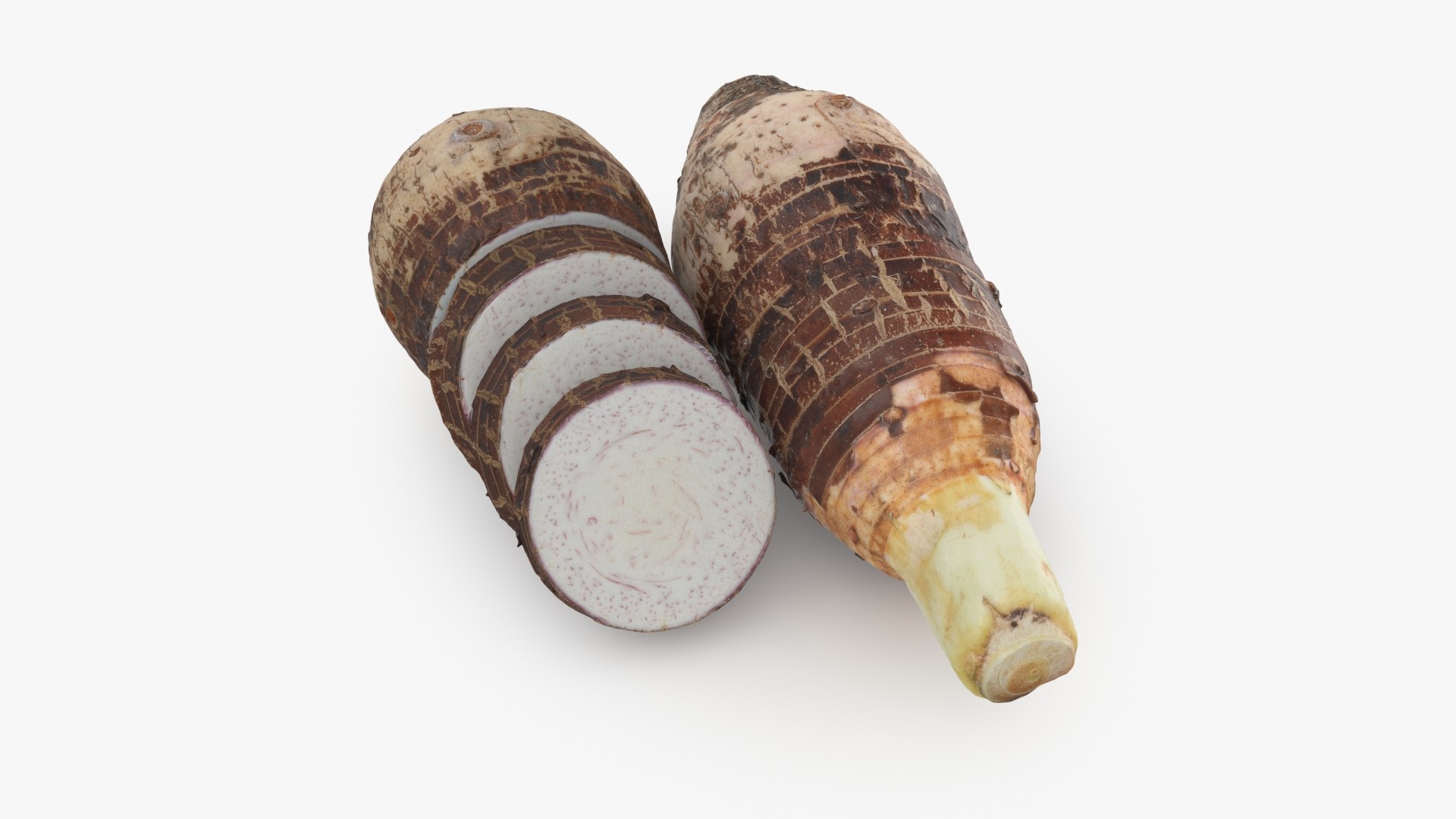 Whole Half Slice Taro Model - TurboSquid 2209752