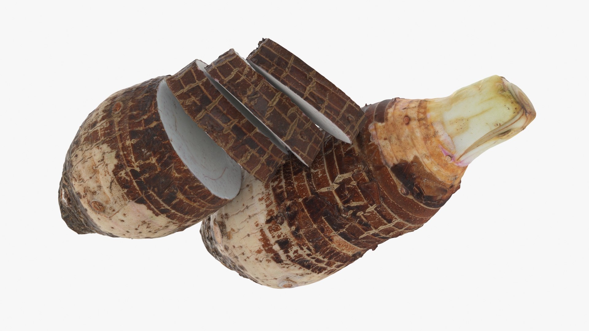 Whole Half Slice Taro Model - TurboSquid 2209752