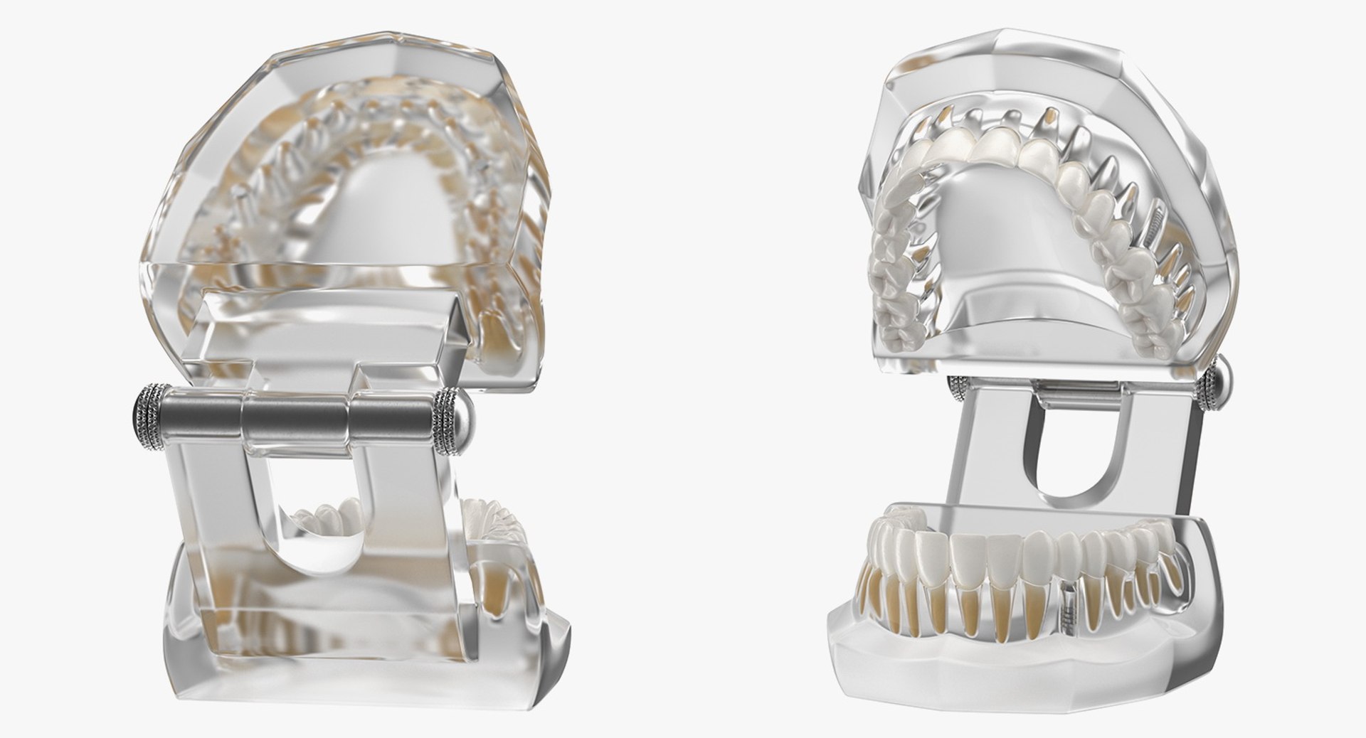 3D Transparent Dental Typodont Implants - TurboSquid 1428983