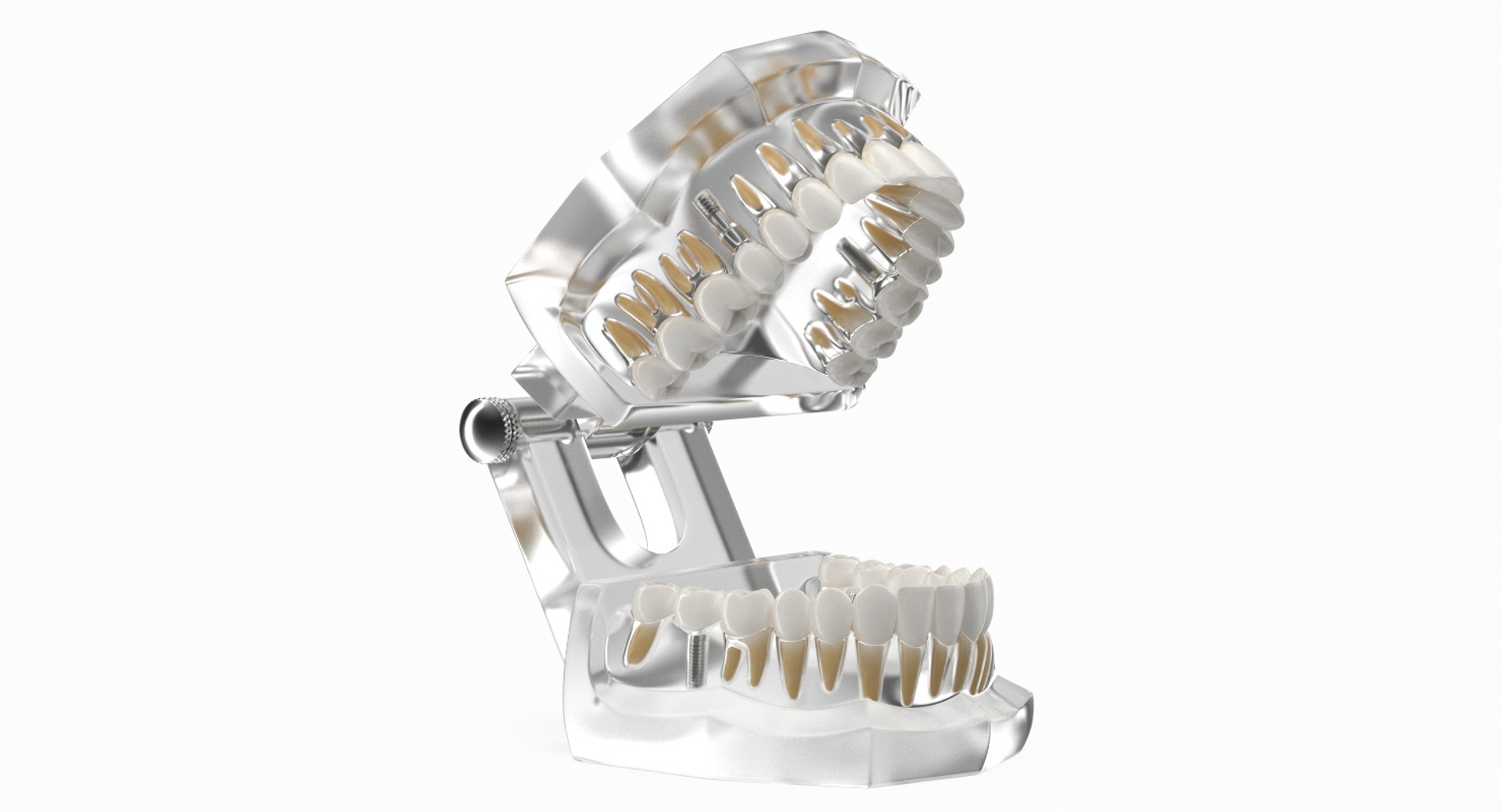 3D Transparent Dental Typodont Implants - TurboSquid 1428983
