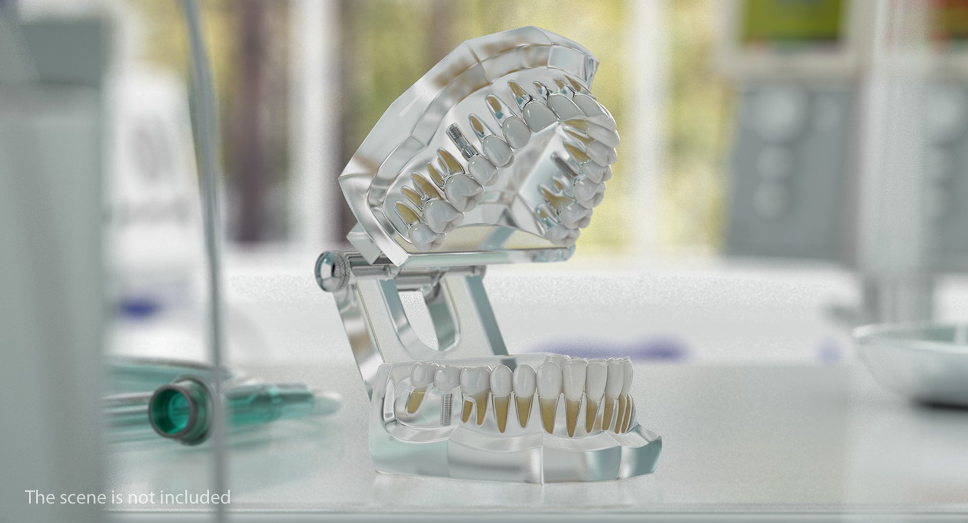 3D Transparent Dental Typodont Implants - TurboSquid 1428983