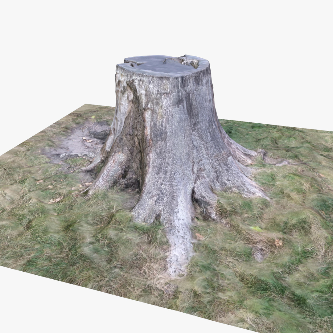 Tree Stump 3ds
