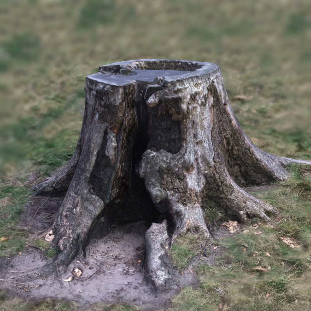 Tree Stump 3ds
