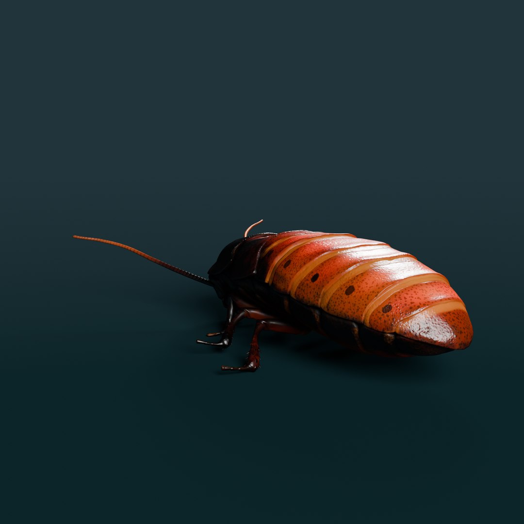 Cockroach Insect 3D Model 3D - TurboSquid 2337906