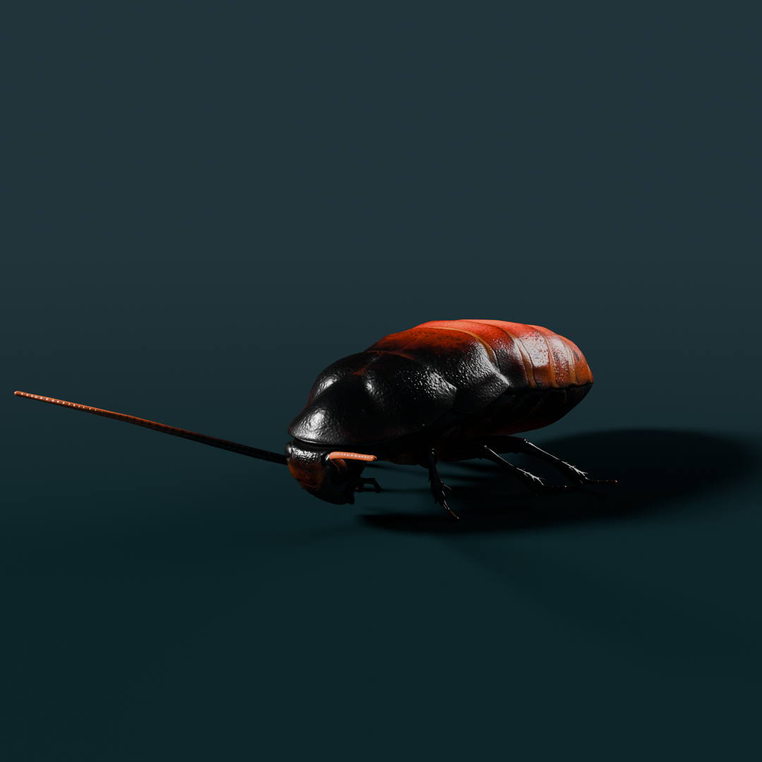 Cockroach Insect 3D Model 3D - TurboSquid 2337906