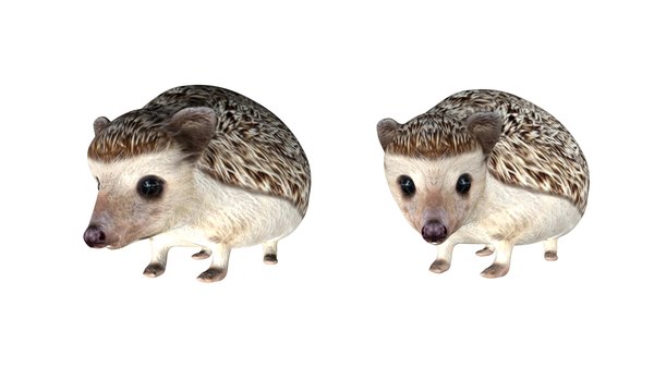 Realistic Fully rigged low poly Hedgehog model - TurboSquid 1758456