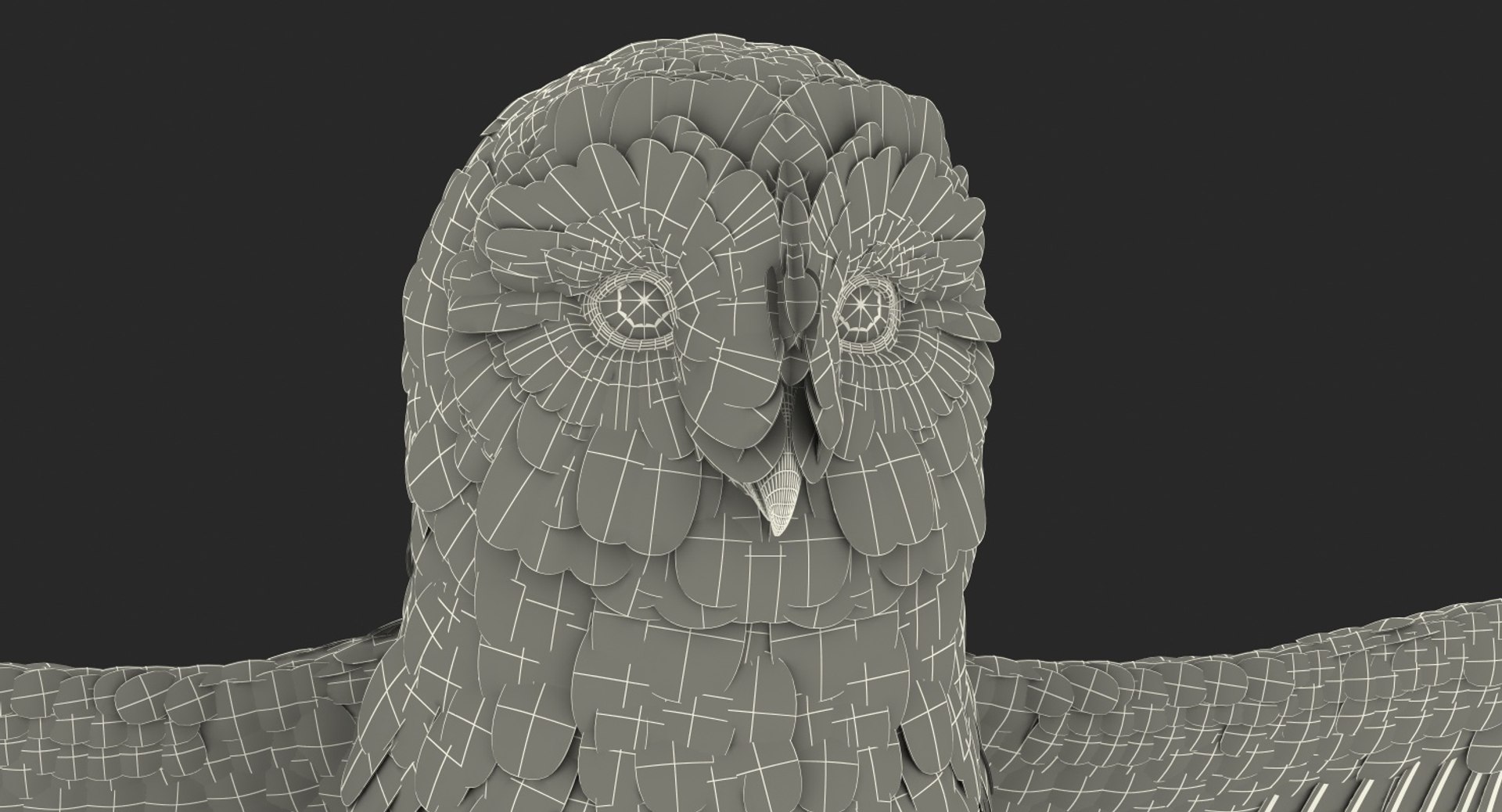 3D Common Barn Owl Model - TurboSquid 1434138