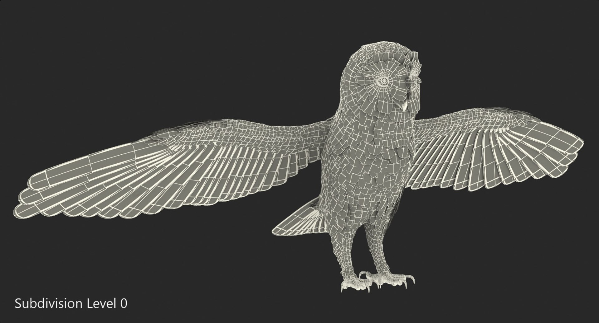 3D common barn owl model - TurboSquid 1434138