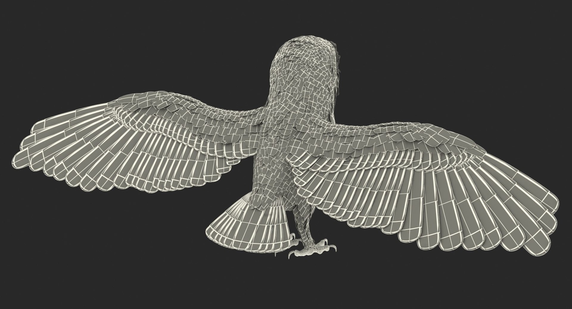 3D Common Barn Owl Model - TurboSquid 1434138