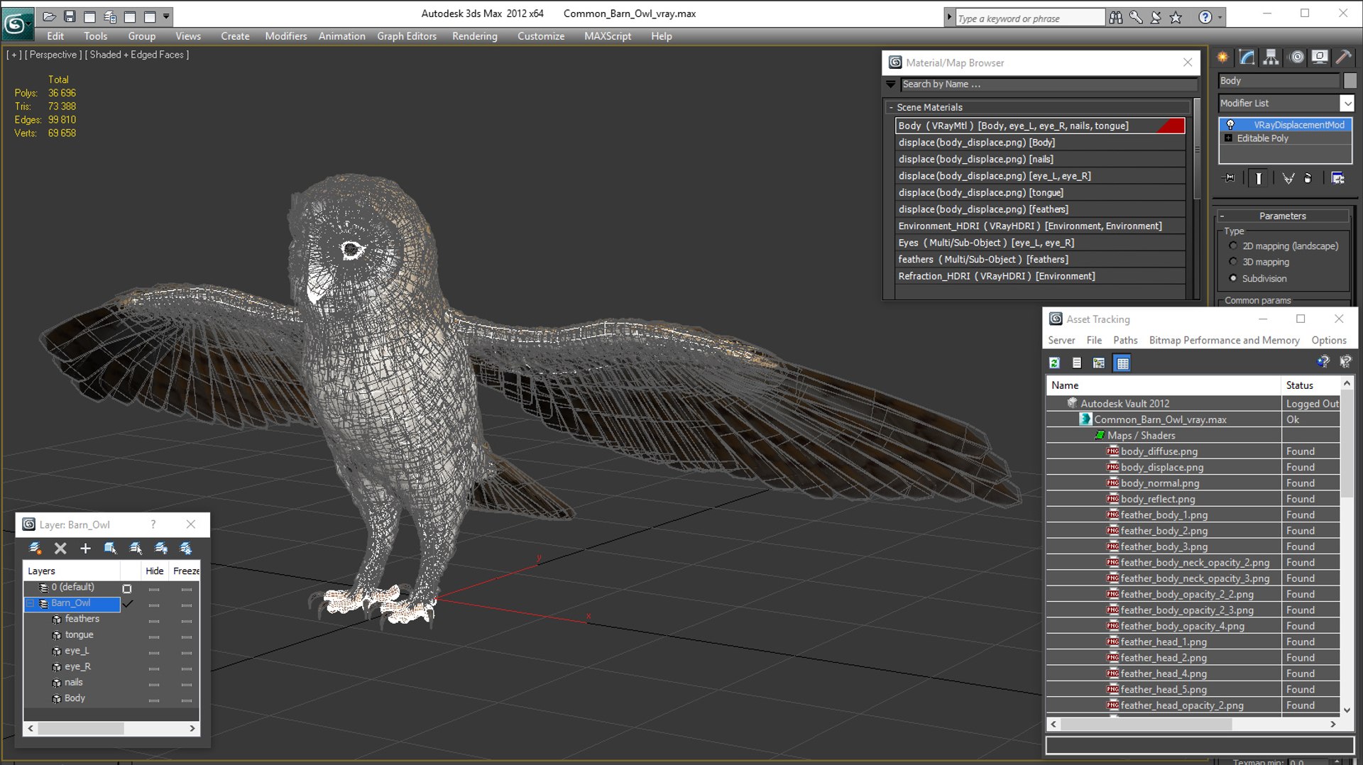 3D Common Barn Owl Model - TurboSquid 1434138