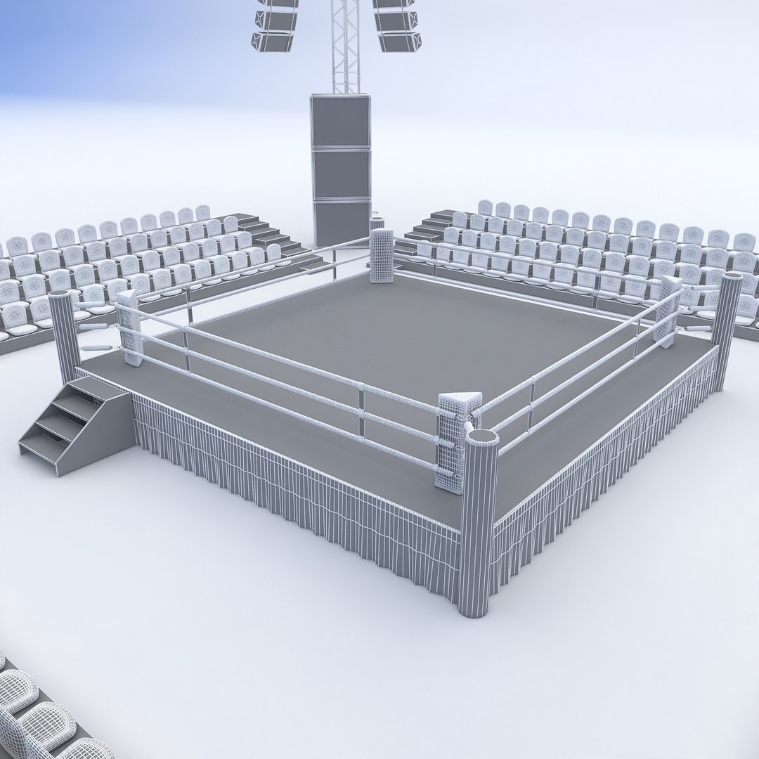Boxing Area 3D Model - TurboSquid 1538756