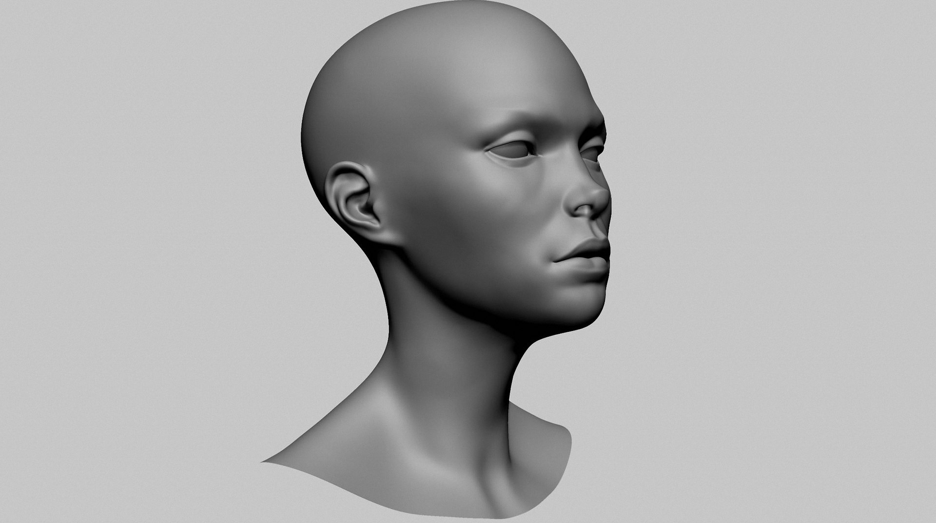 Stylized Head Basemesh A 3D Model - TurboSquid 1937882