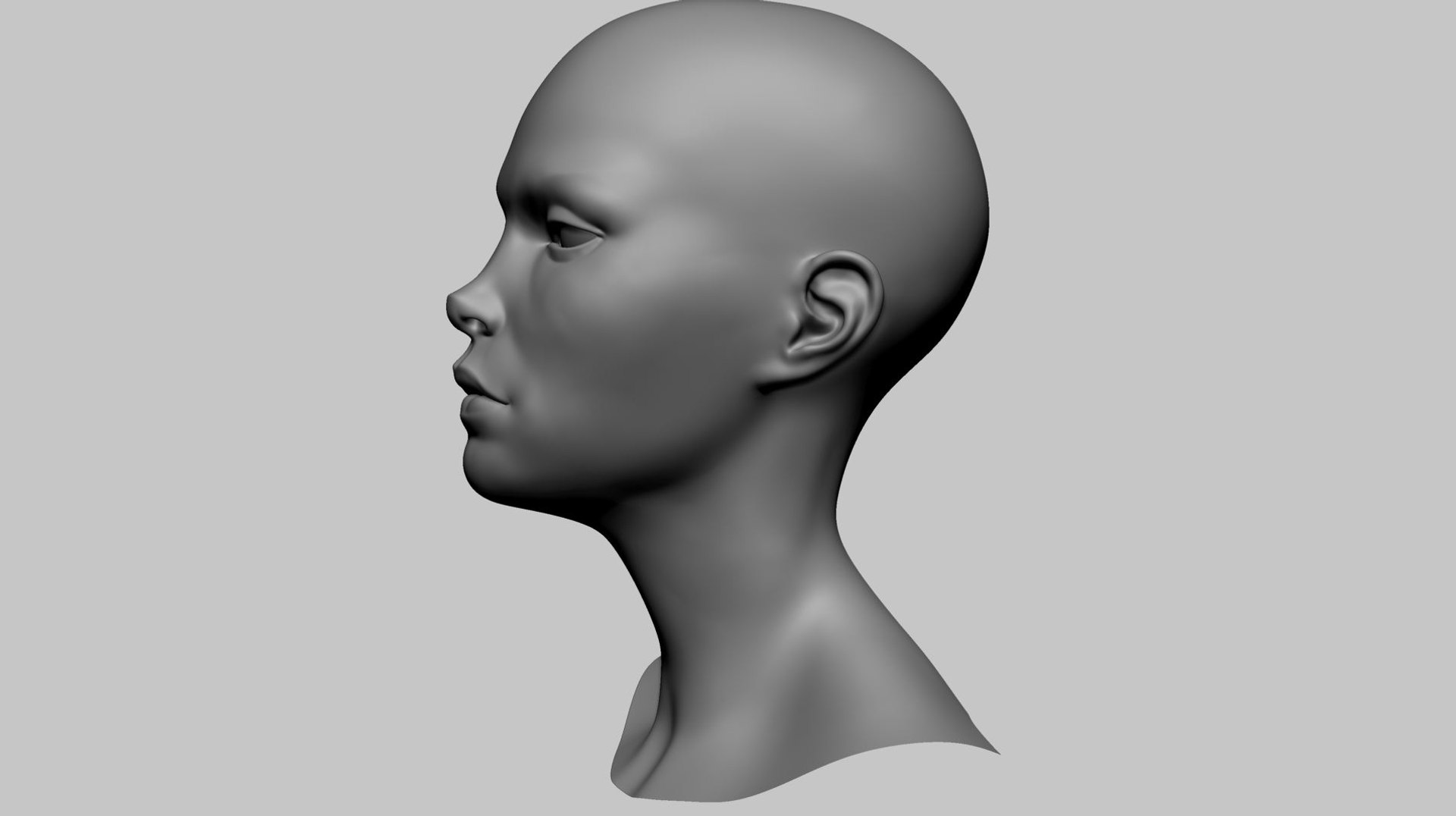 Stylized Head Basemesh A 3D Model - TurboSquid 1937882