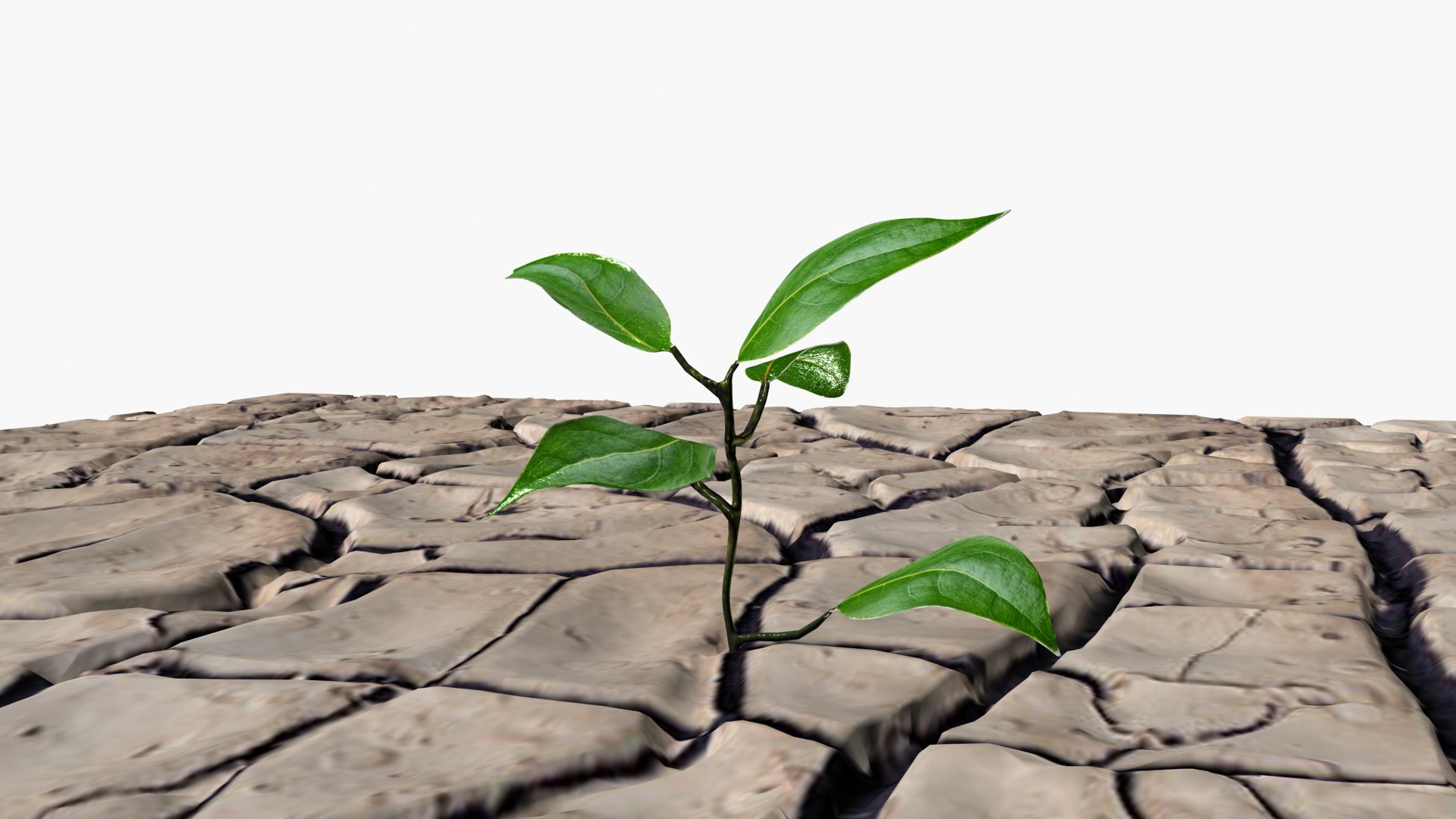 Cracked Soil Model - TurboSquid 2242782