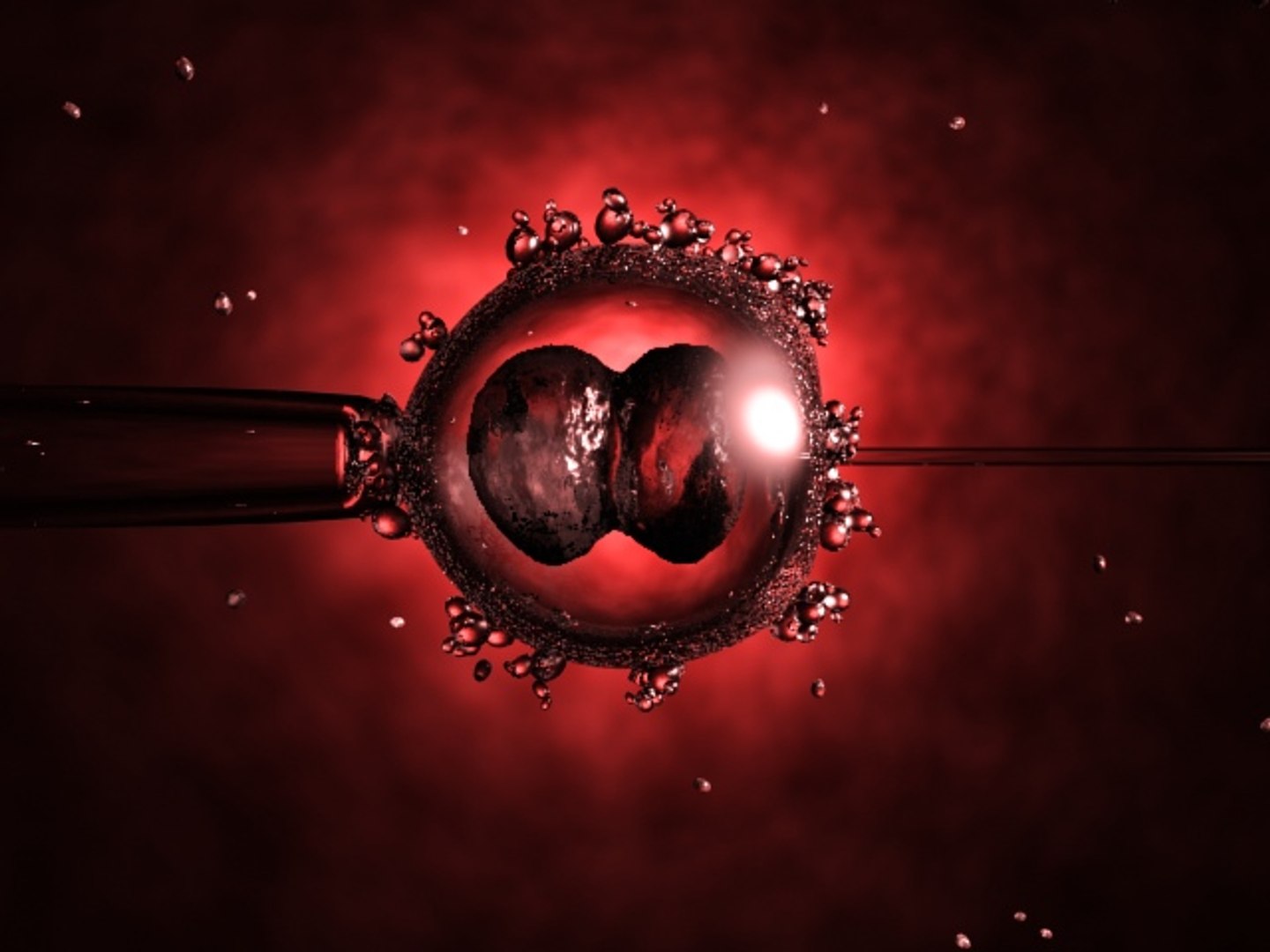 Ivf Cell 3d Max