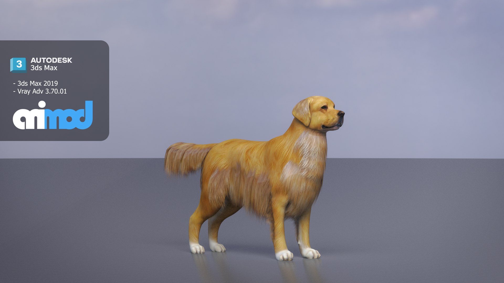 GoldenRetriever 3D Model - TurboSquid 2267362