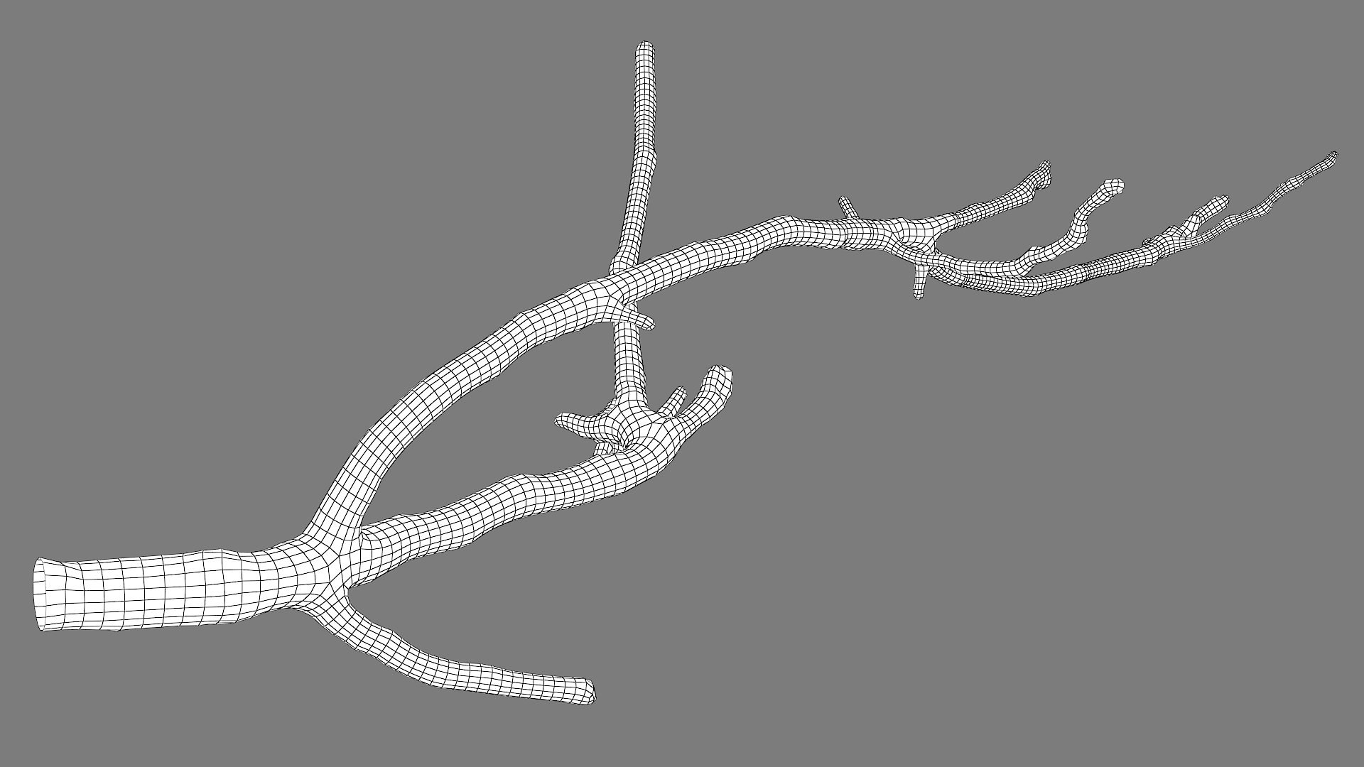 Twig Scanned 06 3D Model - TurboSquid 2088912