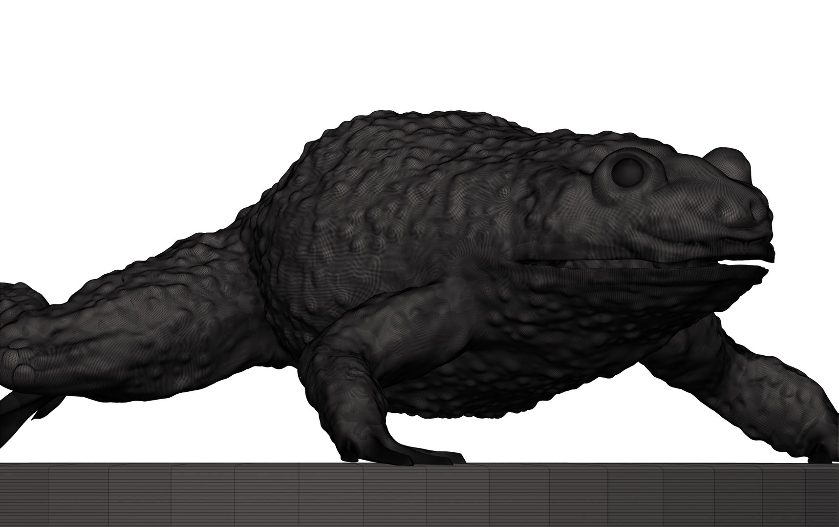 Bullfrog 3D Model - TurboSquid 1848815