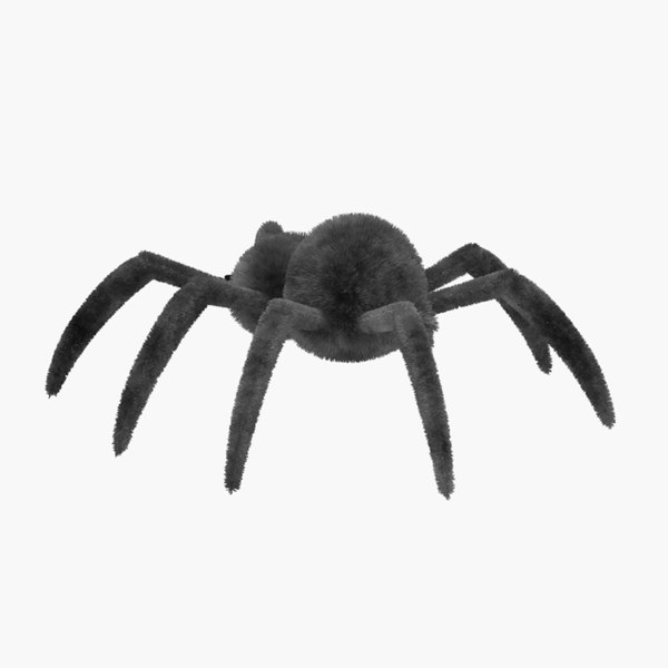3D spider fur - TurboSquid 1515551
