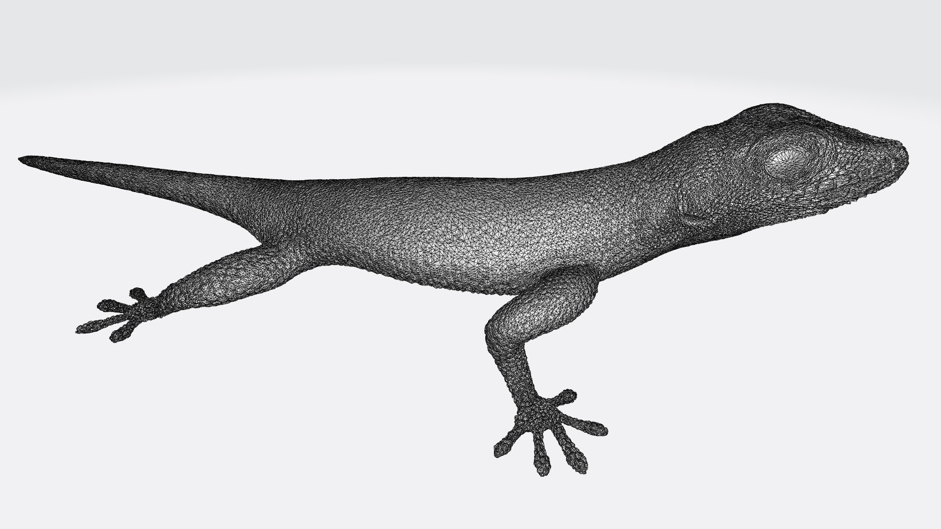 Gecko Printable Model - TurboSquid 1895304