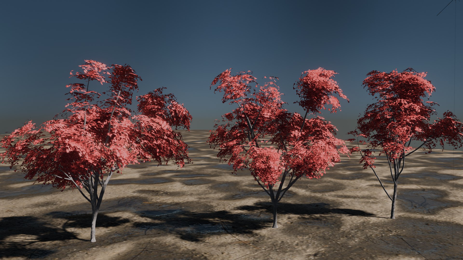 Majestic Mapple Tree 3D Model - TurboSquid 2199139