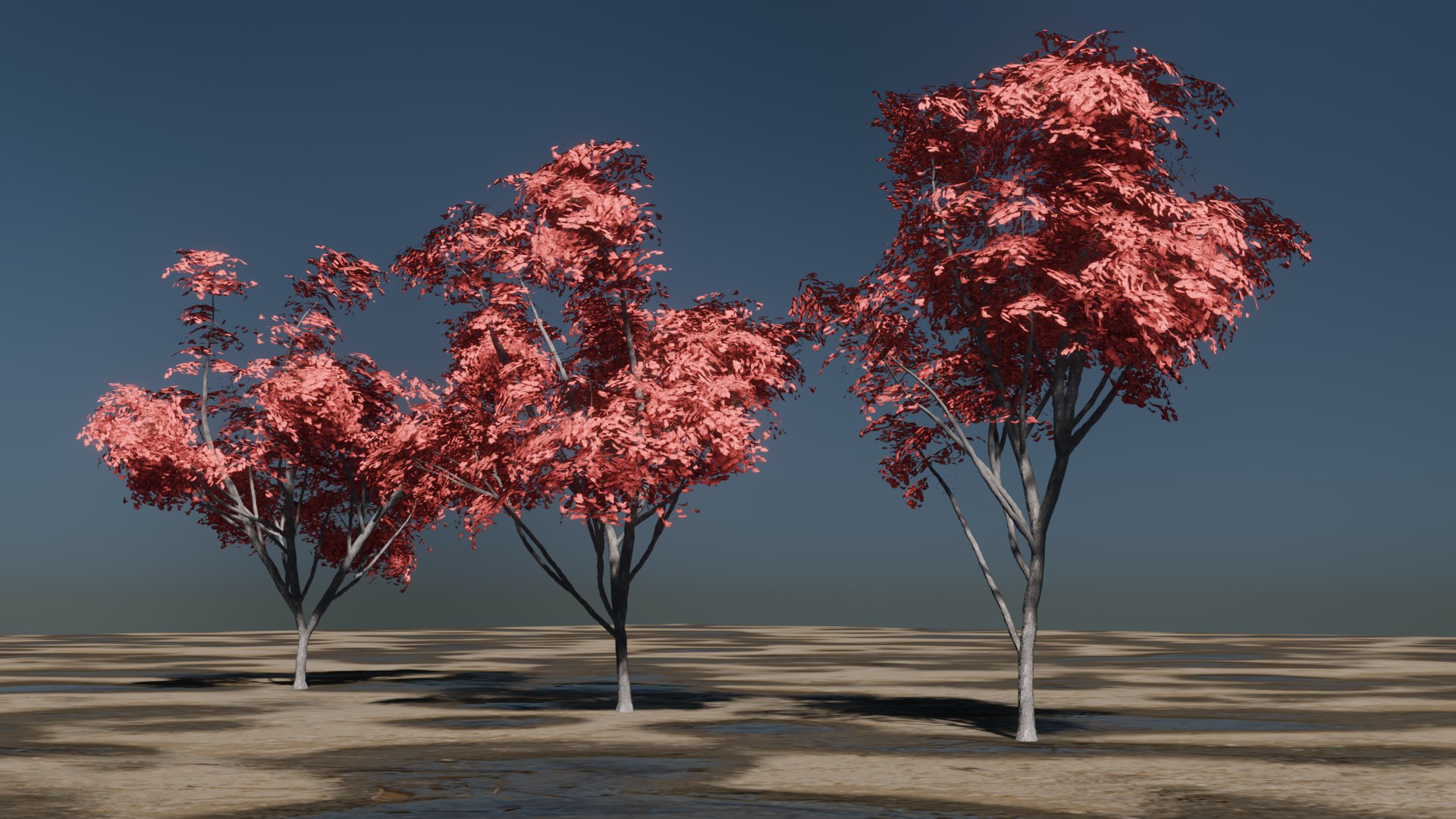 Majestic Mapple Tree 3D Model - TurboSquid 2199139