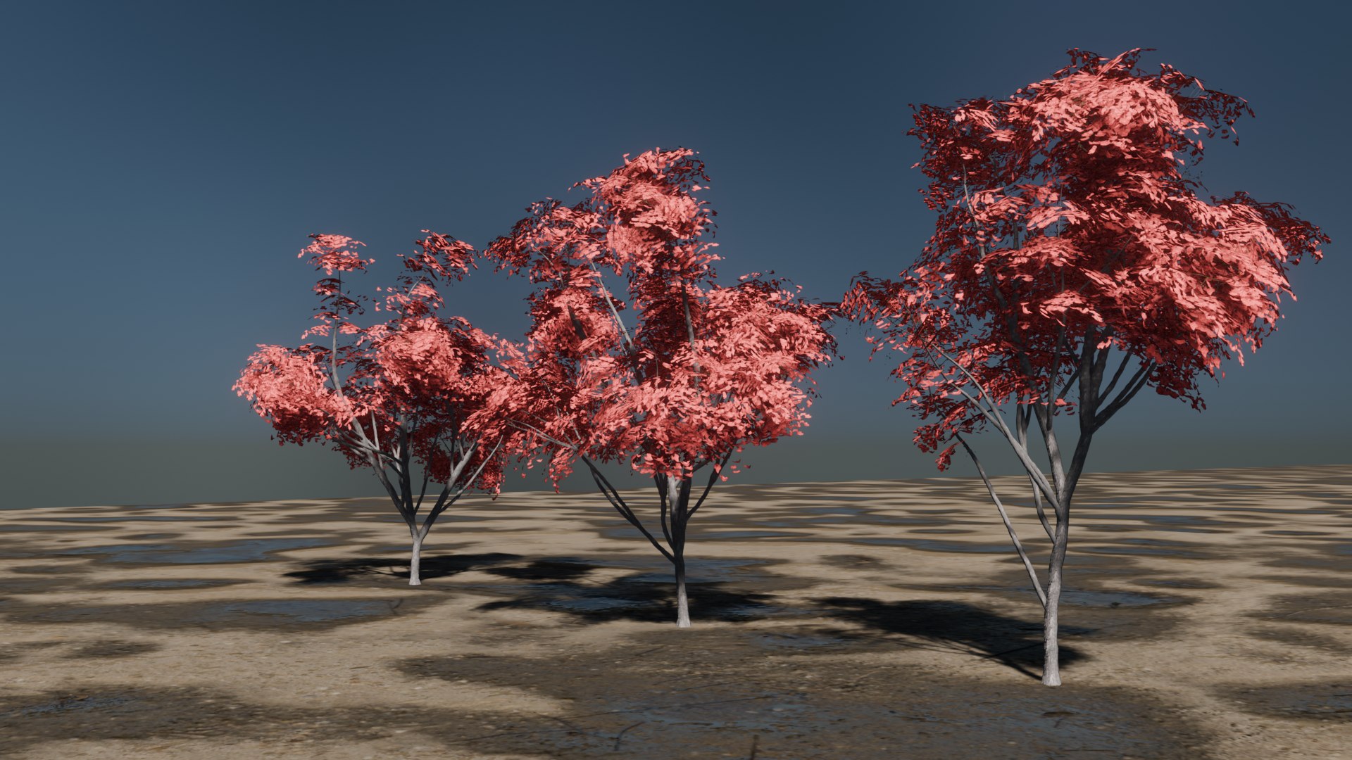 Majestic Mapple Tree 3D Model - TurboSquid 2199139