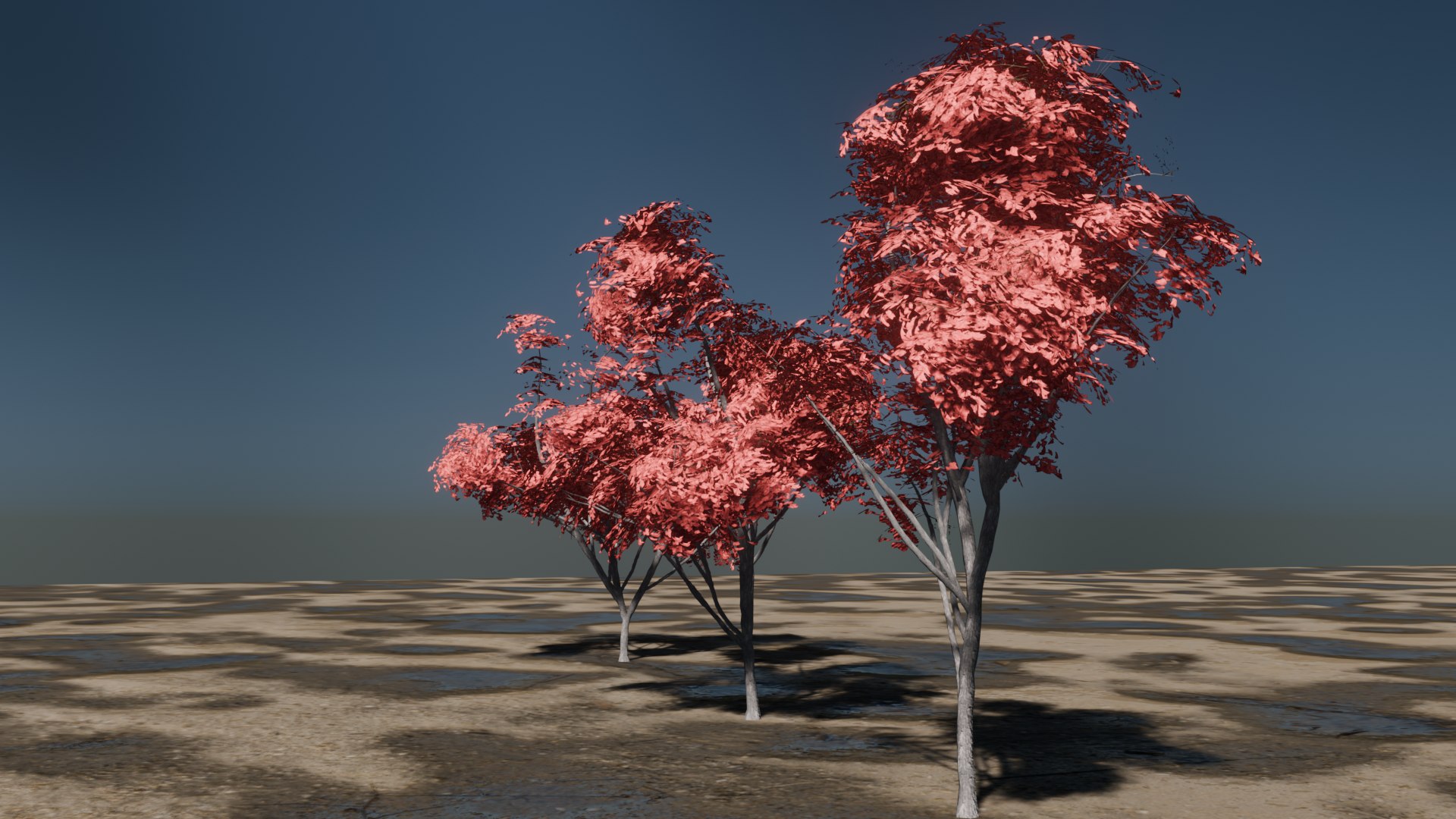 Majestic Mapple Tree 3D Model - TurboSquid 2199139