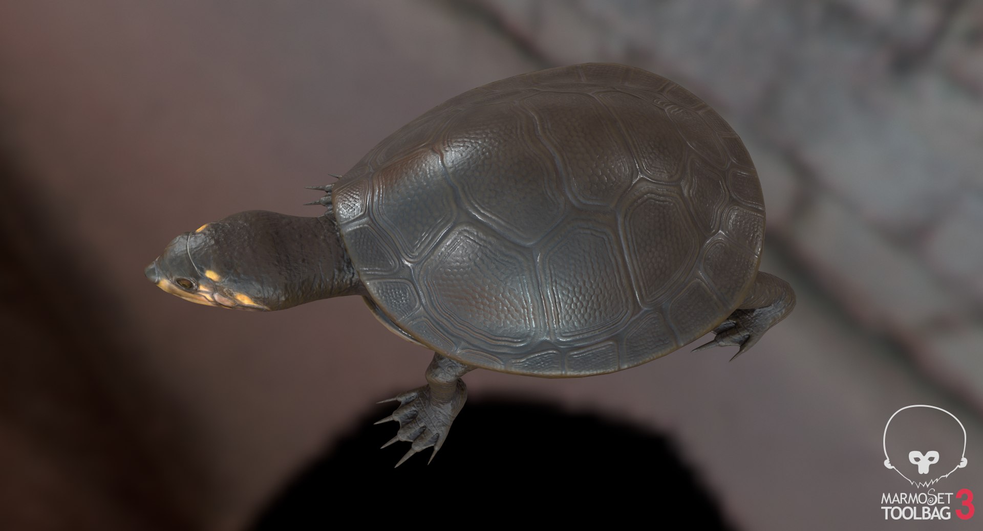 Yellow Spotted Amazon River Model - TurboSquid 1376677