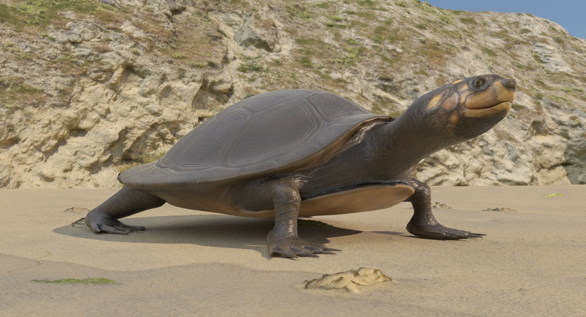 Yellow Spotted Amazon River Model - TurboSquid 1376677