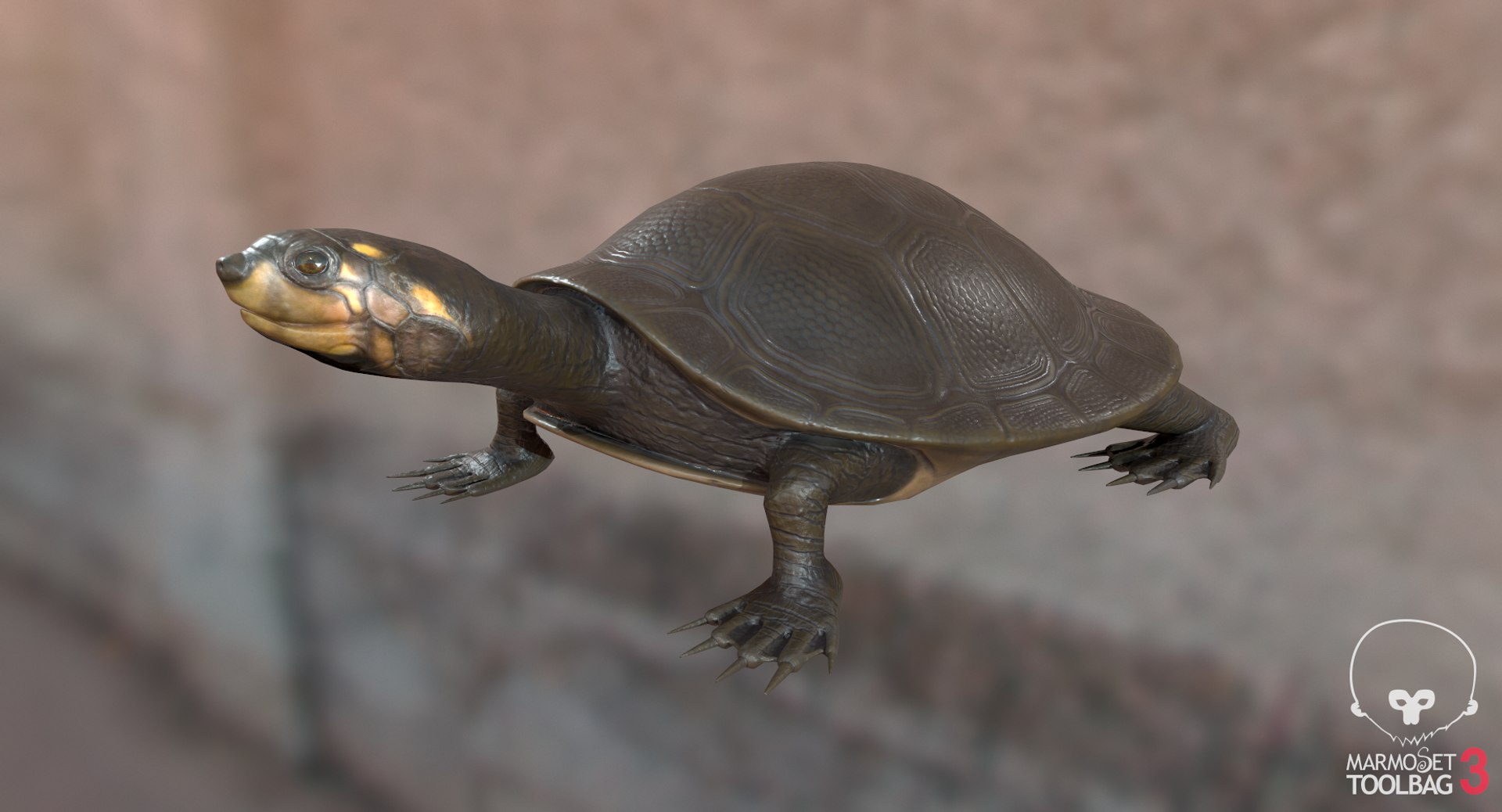 Yellow Spotted Amazon River Model - TurboSquid 1376677